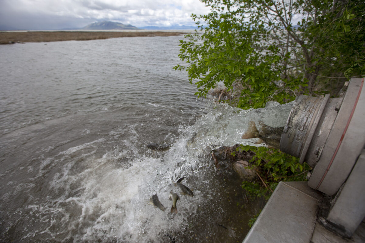 Provo River Delta Restoration Project gets groundbreaking after decade ...